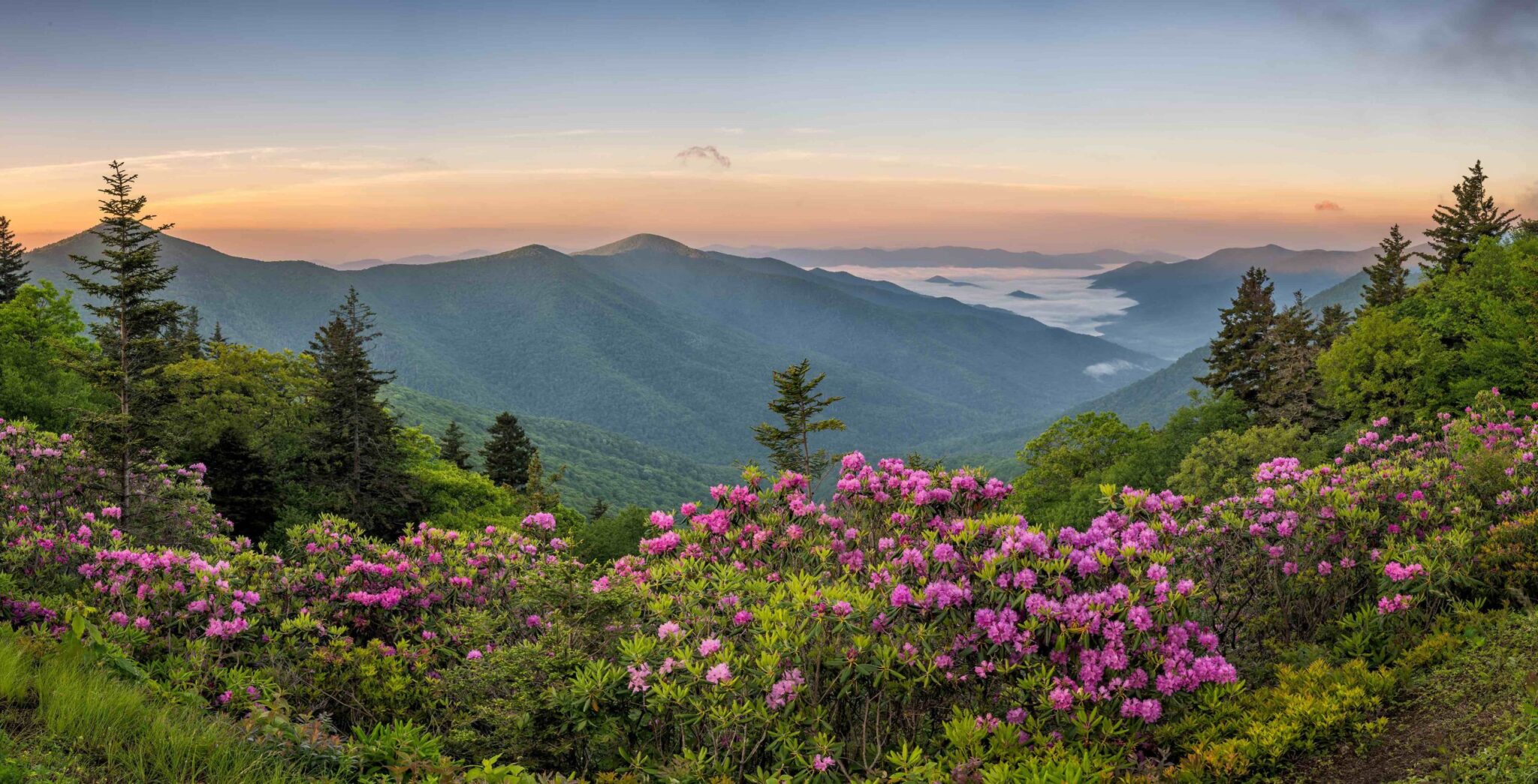 Stunning Locations in The Blue Ridge Mountains to Call Home - The ...